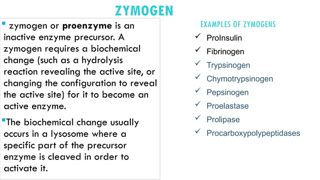 This the study of enzyme activity for those in collages | PPT