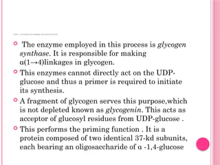 BCH 312 glycogenesis and glycogenolysis.pptx