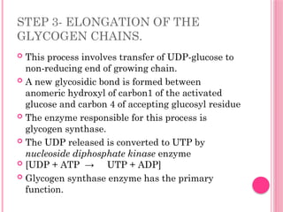 BCH 312 glycogenesis and glycogenolysis.pptx