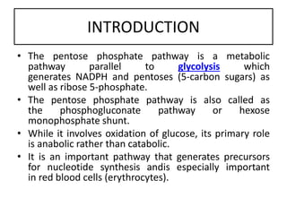 Pentose phosphate pathways. Biochemistry | PDF