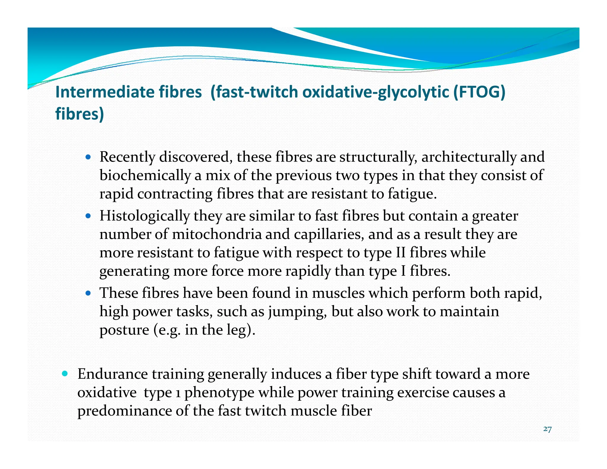 BIOCHEMISTRY OF MUSCLE CONTRACTIONS AND DIFFERENT TYPES OF MUSCLES | PDF