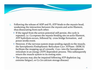 BIOCHEMISTRY OF MUSCLE CONTRACTIONS AND DIFFERENT TYPES OF MUSCLES | PDF