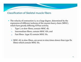 BIOCHEMISTRY OF MUSCLE CONTRACTIONS AND DIFFERENT TYPES OF MUSCLES | PDF