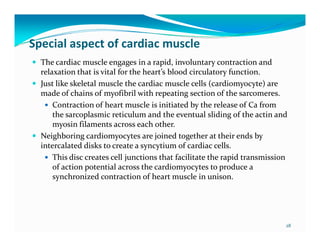 BIOCHEMISTRY OF MUSCLE CONTRACTIONS AND DIFFERENT TYPES OF MUSCLES | PDF