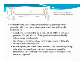 BIOCHEMISTRY OF MUSCLE CONTRACTIONS AND DIFFERENT TYPES OF MUSCLES | PDF