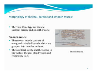 BIOCHEMISTRY OF MUSCLE CONTRACTIONS AND DIFFERENT TYPES OF MUSCLES | PDF