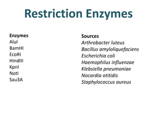 BCH 405 -MOLECULAR-BIOLOGY-I-II-Recombinant-DNA-Technology-by-Dr ...
