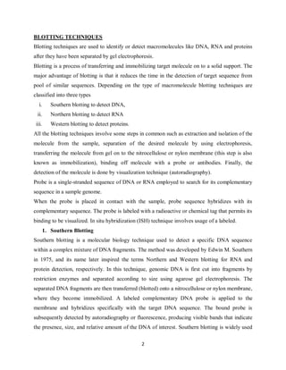 Comprehensive Overview of Blotting Techniques and Genomic Libraries in ...