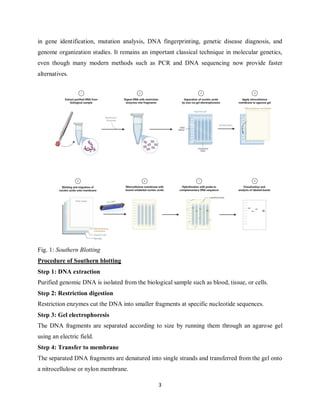 Comprehensive Overview of Blotting Techniques and Genomic Libraries in ...