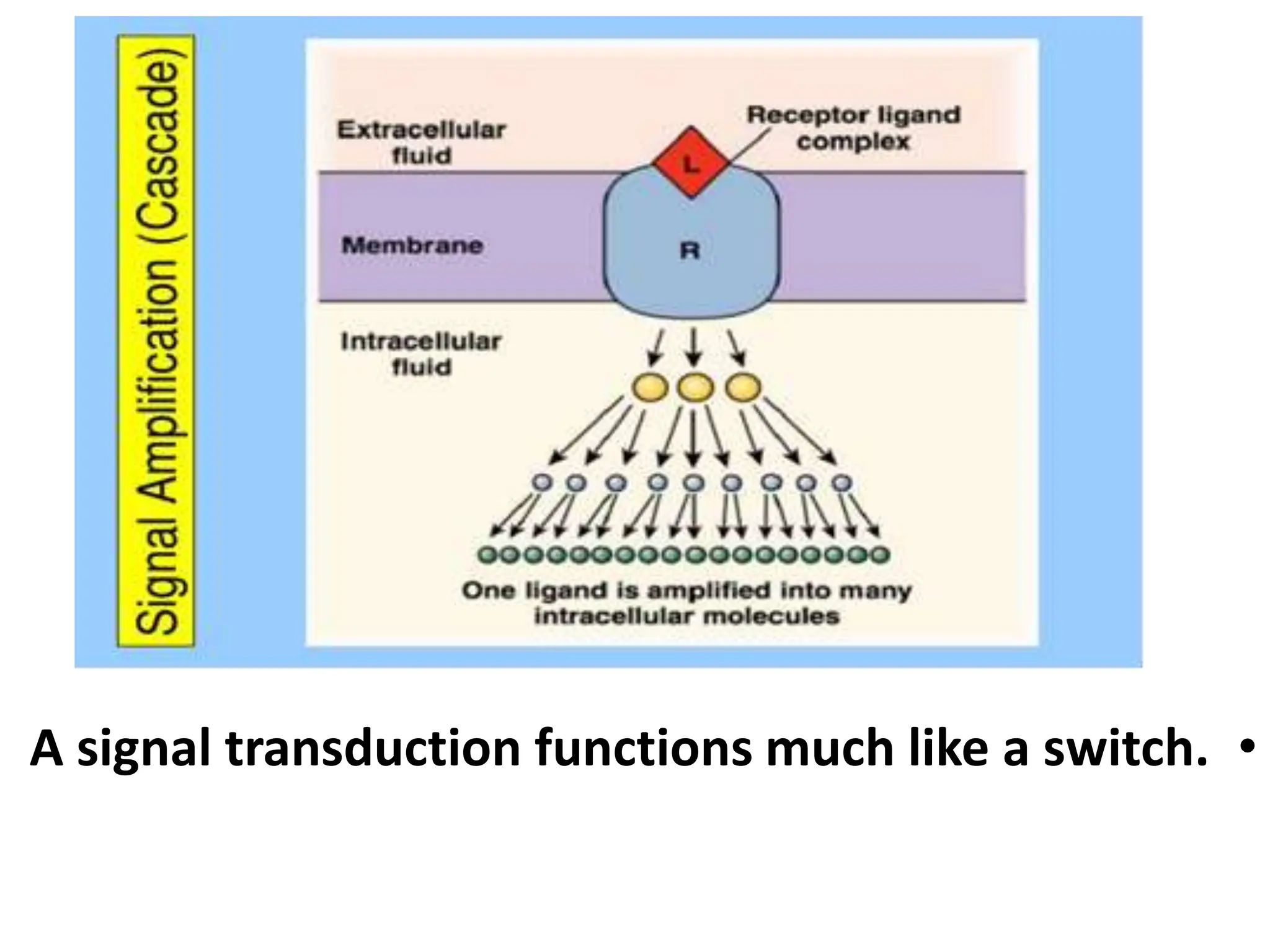 BCH422 signal transduction.pptx and cell comunication | PPTX