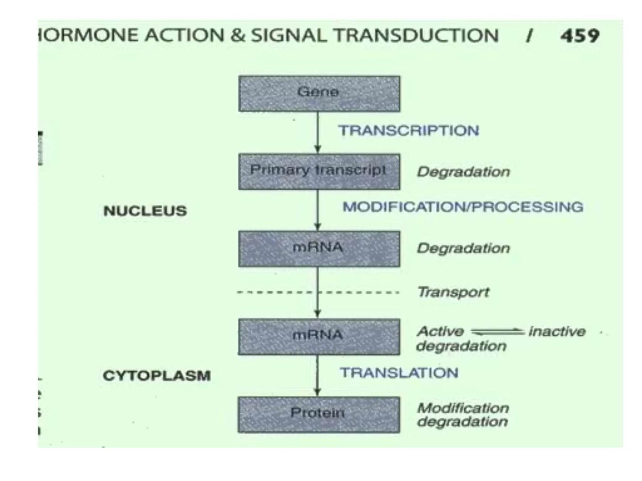 BCH422 signal transduction.pptx and cell comunication | PPTX