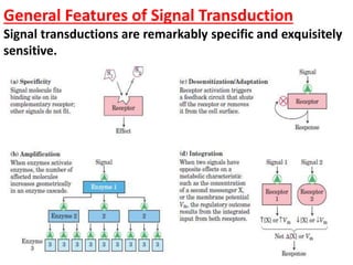 BCH422 signal transduction.pptx and cell comunication | PPTX