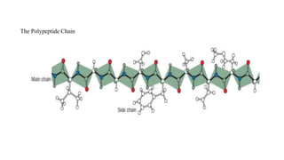 BCH 803 Lecture.pptx