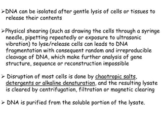 BCH 809_Biochemical_methods.pptx
