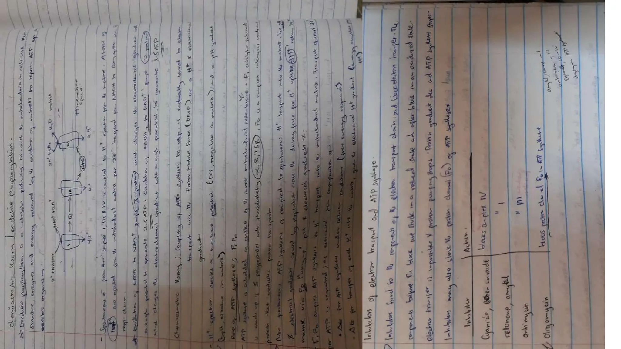 BIOCHEMISTRY 2ND YEAR EYE [FLOWCHART].pptx