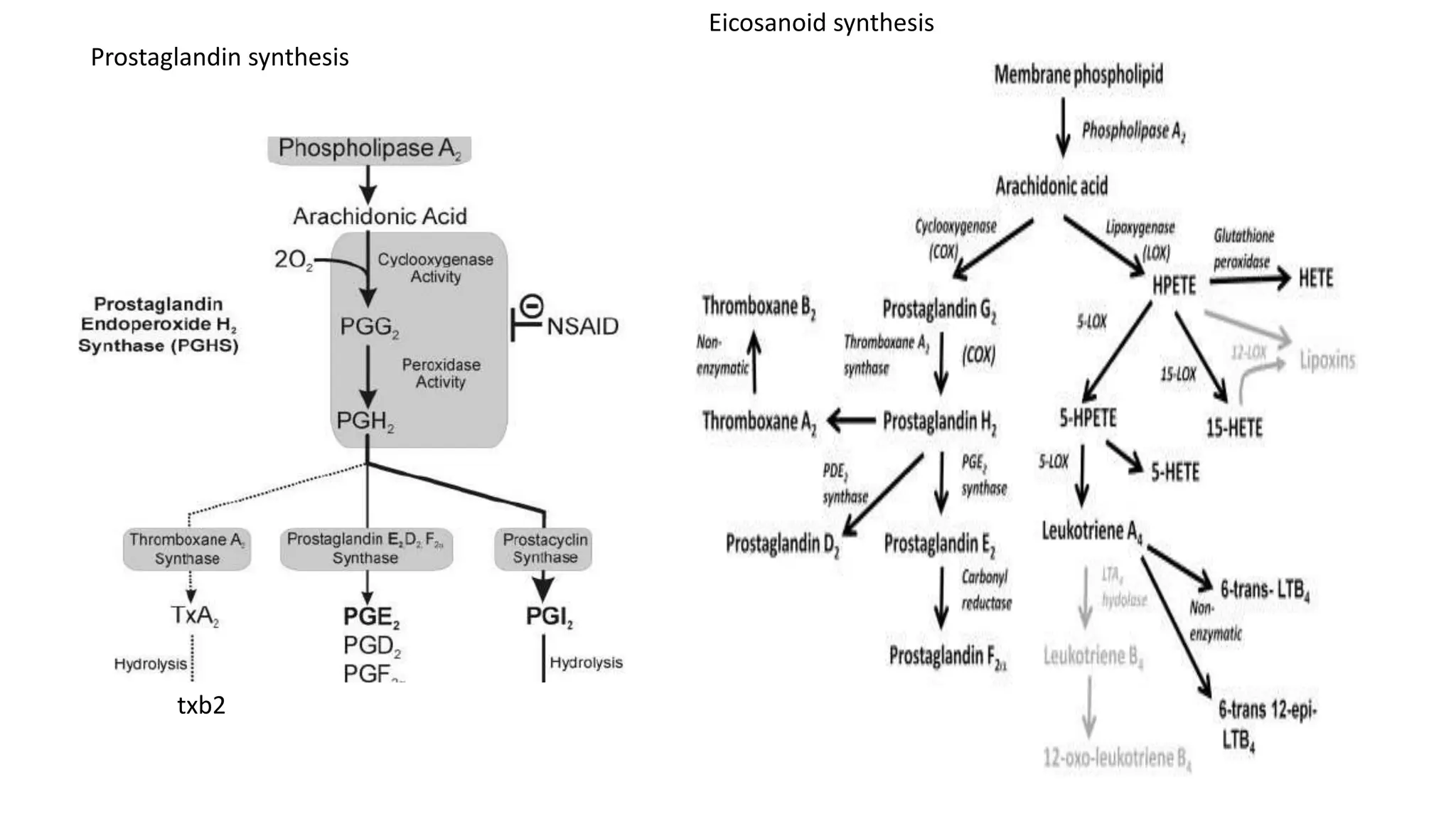BIOCHEMISTRY 2ND YEAR EYE [FLOWCHART].pptx