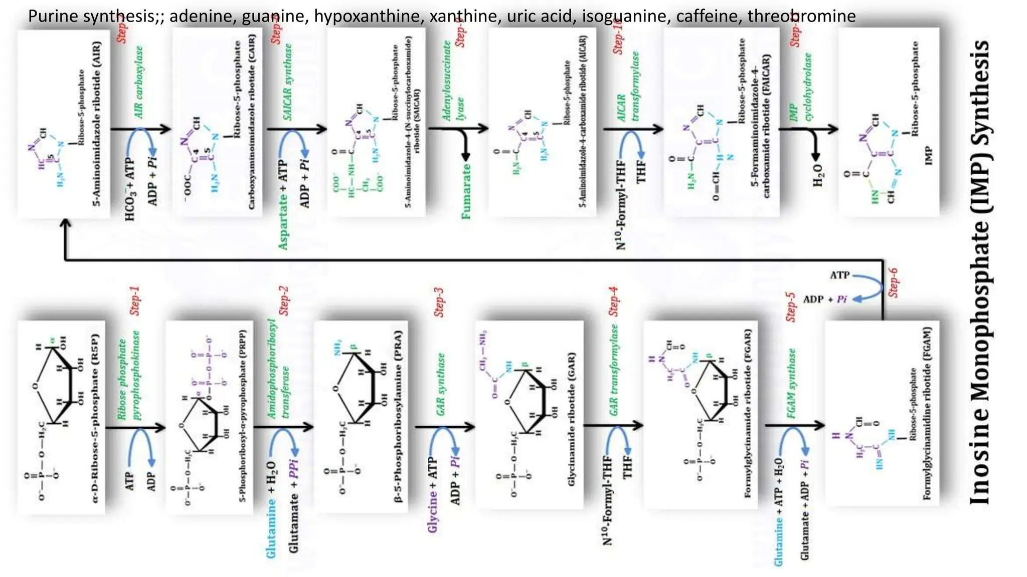 BIOCHEMISTRY 2ND YEAR EYE [FLOWCHART].pptx