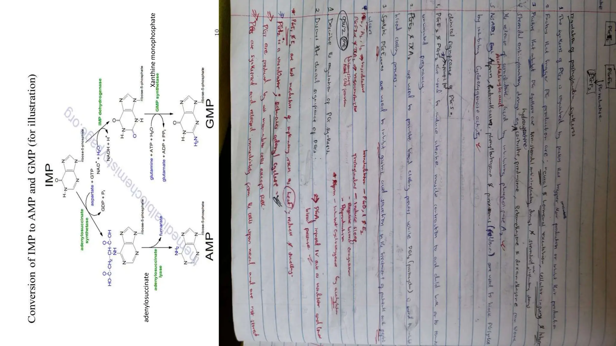 BIOCHEMISTRY 2ND YEAR EYE [FLOWCHART].pptx