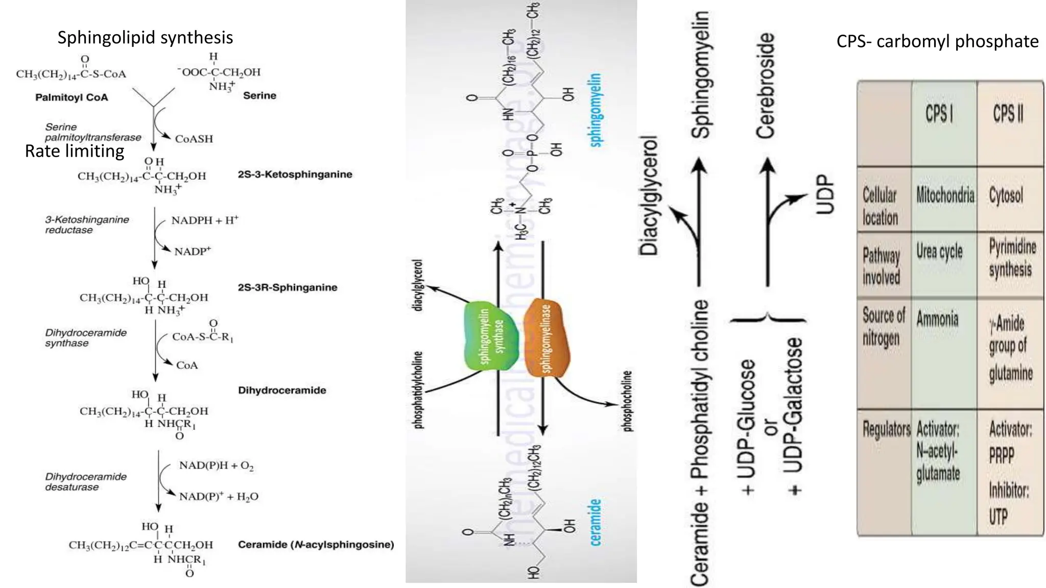 BIOCHEMISTRY 2ND YEAR EYE [FLOWCHART].pptx