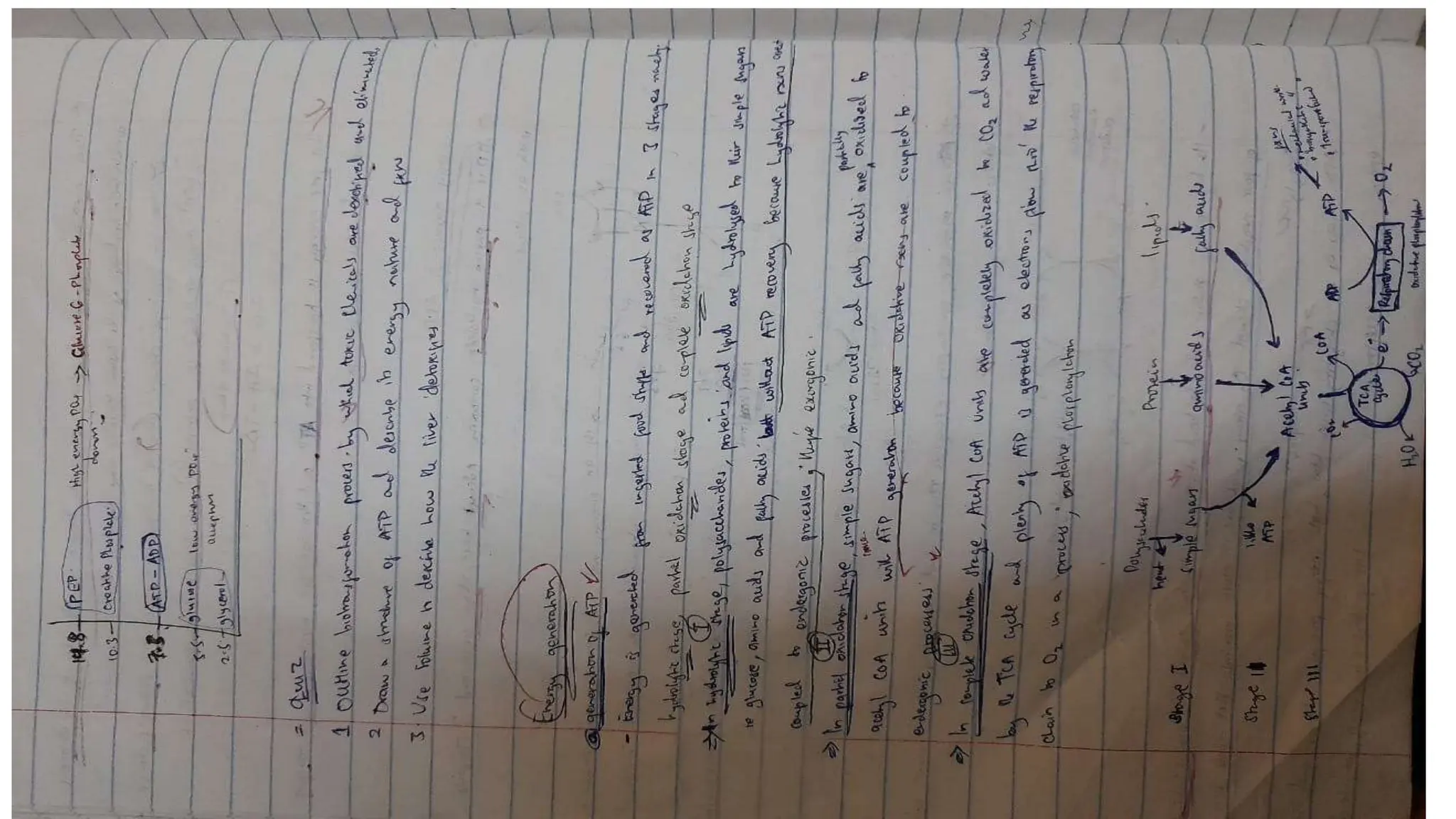 BIOCHEMISTRY 2ND YEAR EYE [FLOWCHART].pptx