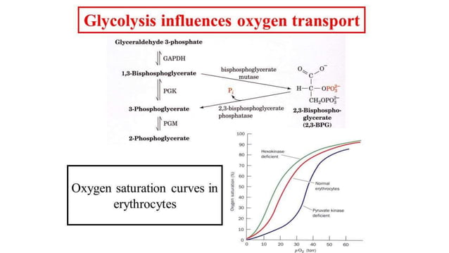 BIOCHEMISTRY 2ND YEAR EYE [FLOWCHART].pptx