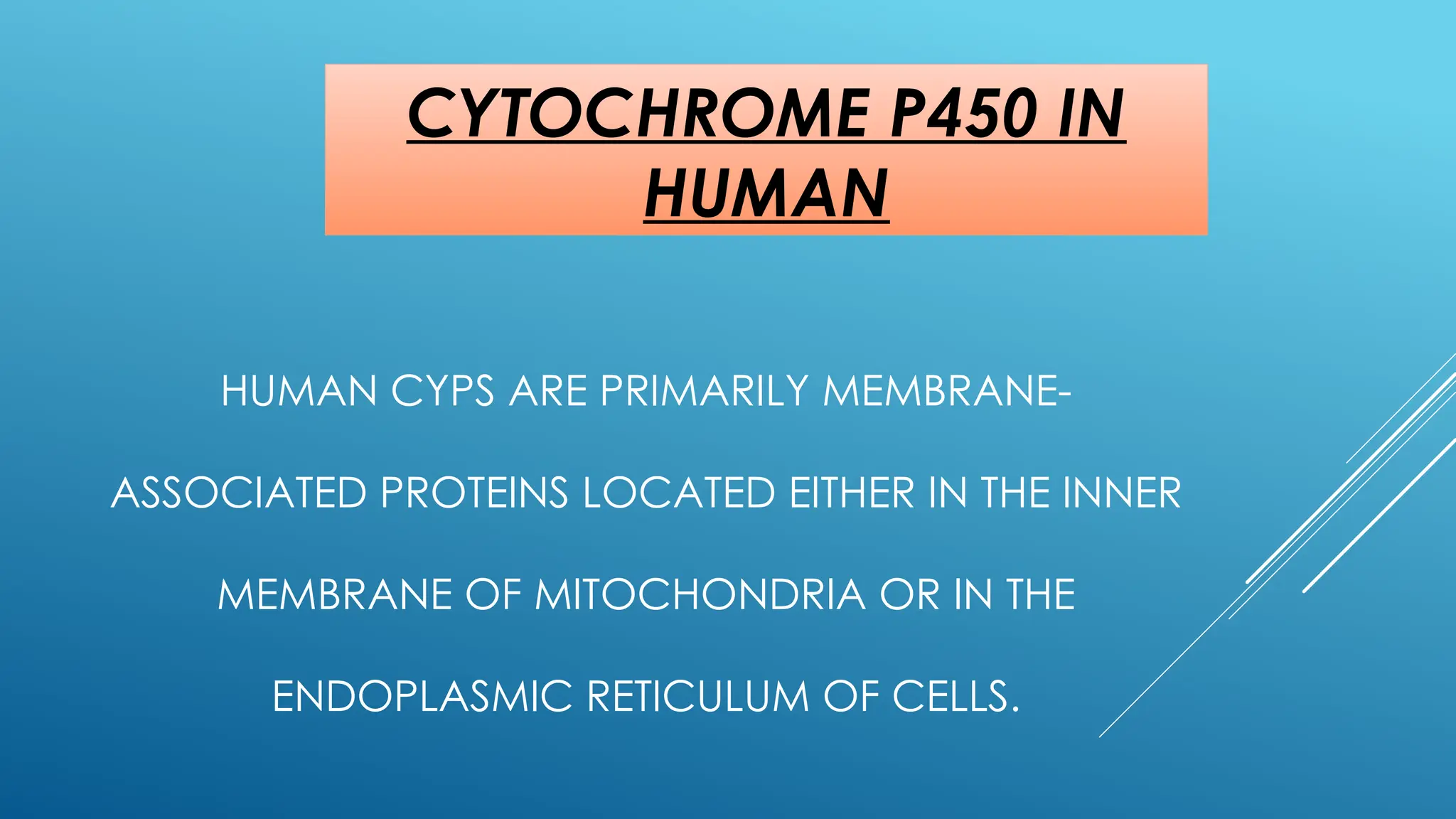 bchem seminar (2.o) (1).pptx cytochrome p 450 | PPT