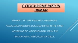 bchem seminar (2.o) (1).pptx cytochrome p 450 | PPT