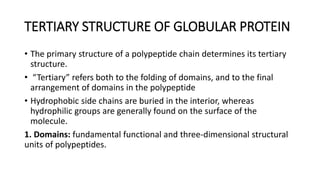 Denaturation of proteins and quaternary structures of proteins | PPT