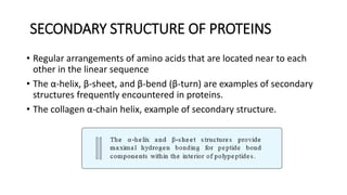Denaturation of proteins and quaternary structures of proteins | PPT