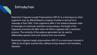 BCHM 415- RFLP.pptx