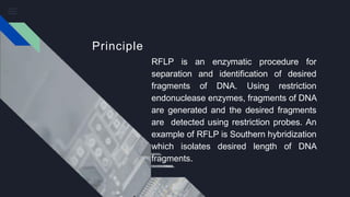 BCHM 415- RFLP.pptx