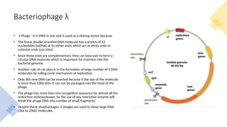 BCHM 415_Vectors.pptx vector in gene clo | PPTX
