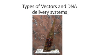 BCHM 415_Vectors.pptx vector in gene clo | PPTX