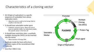 BCHM 415_Vectors.pptx vector in gene clo | PPTX