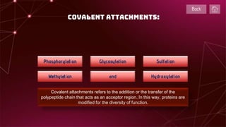 POST TRANSLITIONAL MODIFICATION | PPTX