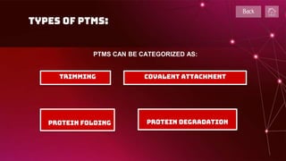 POST TRANSLITIONAL MODIFICATION | PPTX