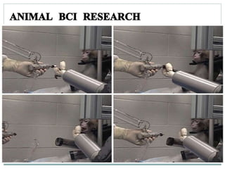 Brain-computer interface | PPT | Brain and Nervous System Disorders ...