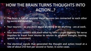 BRAIN COMPUTER INTERFACE(BCI) | PPTX