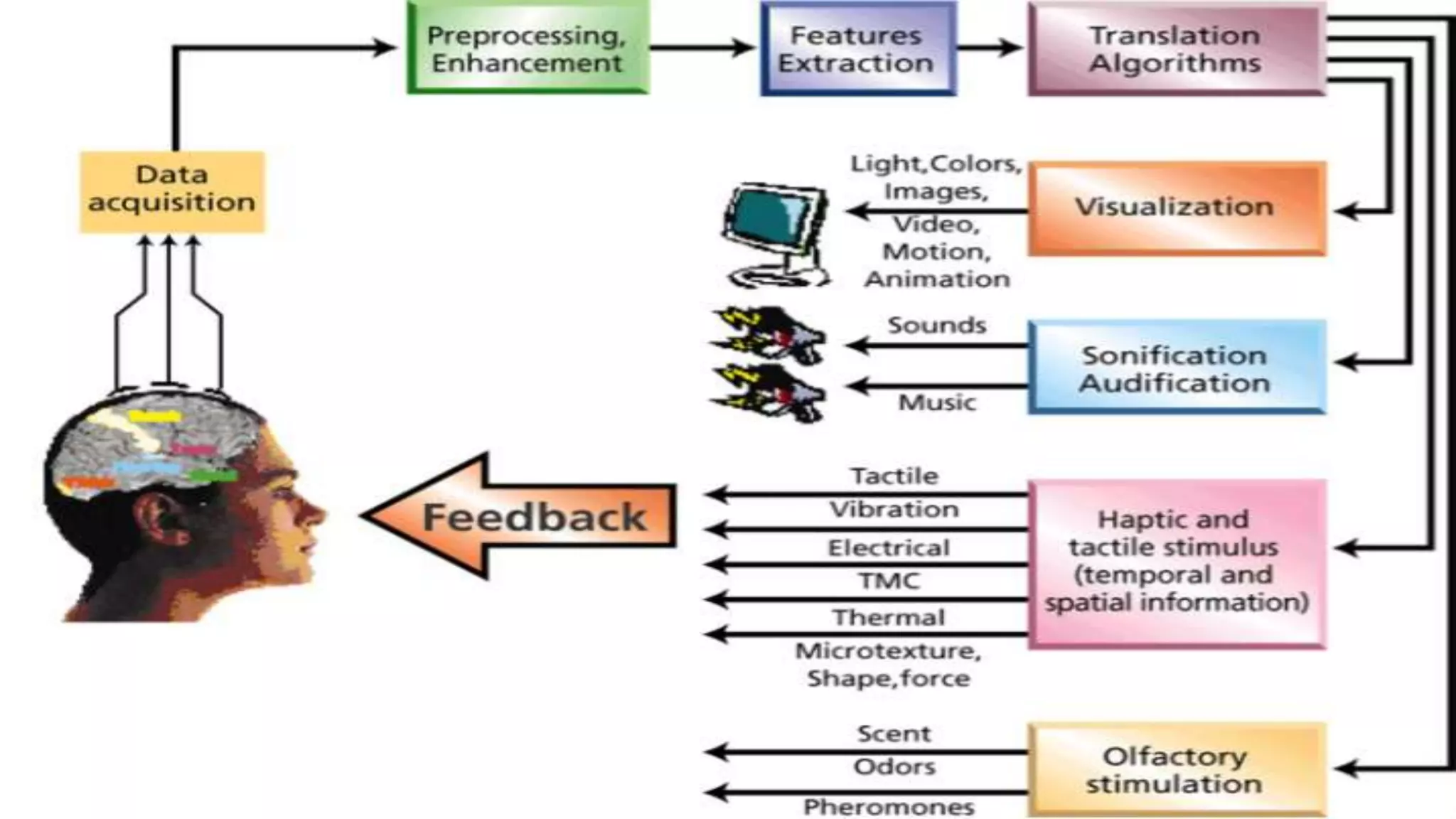 Brain Computer Interface Bci Pptx