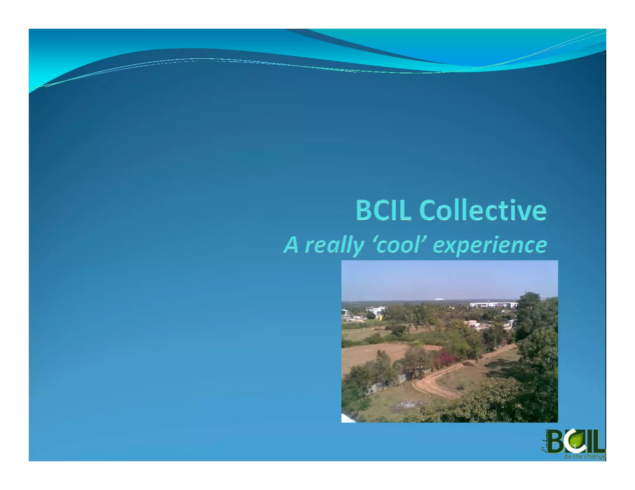 Bcil Collective | PDF