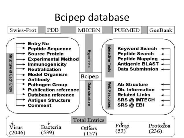 B cell epitope database features and tools | PPT