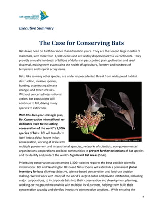 Bat Conservation International: A Five-Year Strategy for Global Bat ...
