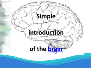 BCI TECHNOLOGY..423 (1).pptx