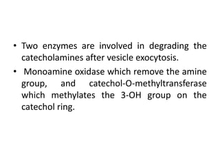 BCM-Neurochemistry.pdf