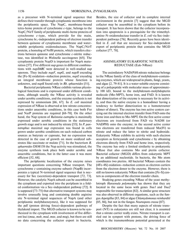 Nitrate Reductases: Structure, Functions, and Effect of Stress Factors ...
