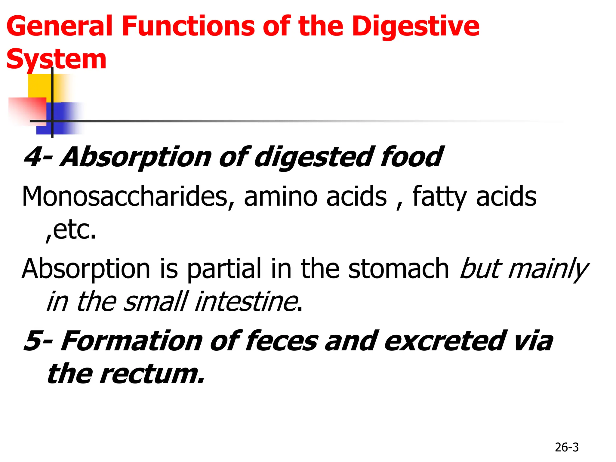 BCM 122 L1 Digestive System Functional Anatomy 2024.pptx