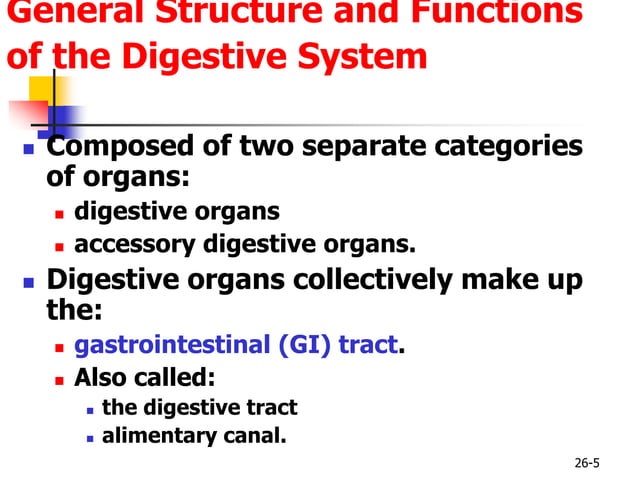 BCM 122 L1 Digestive System Functional Anatomy 2024.pptx