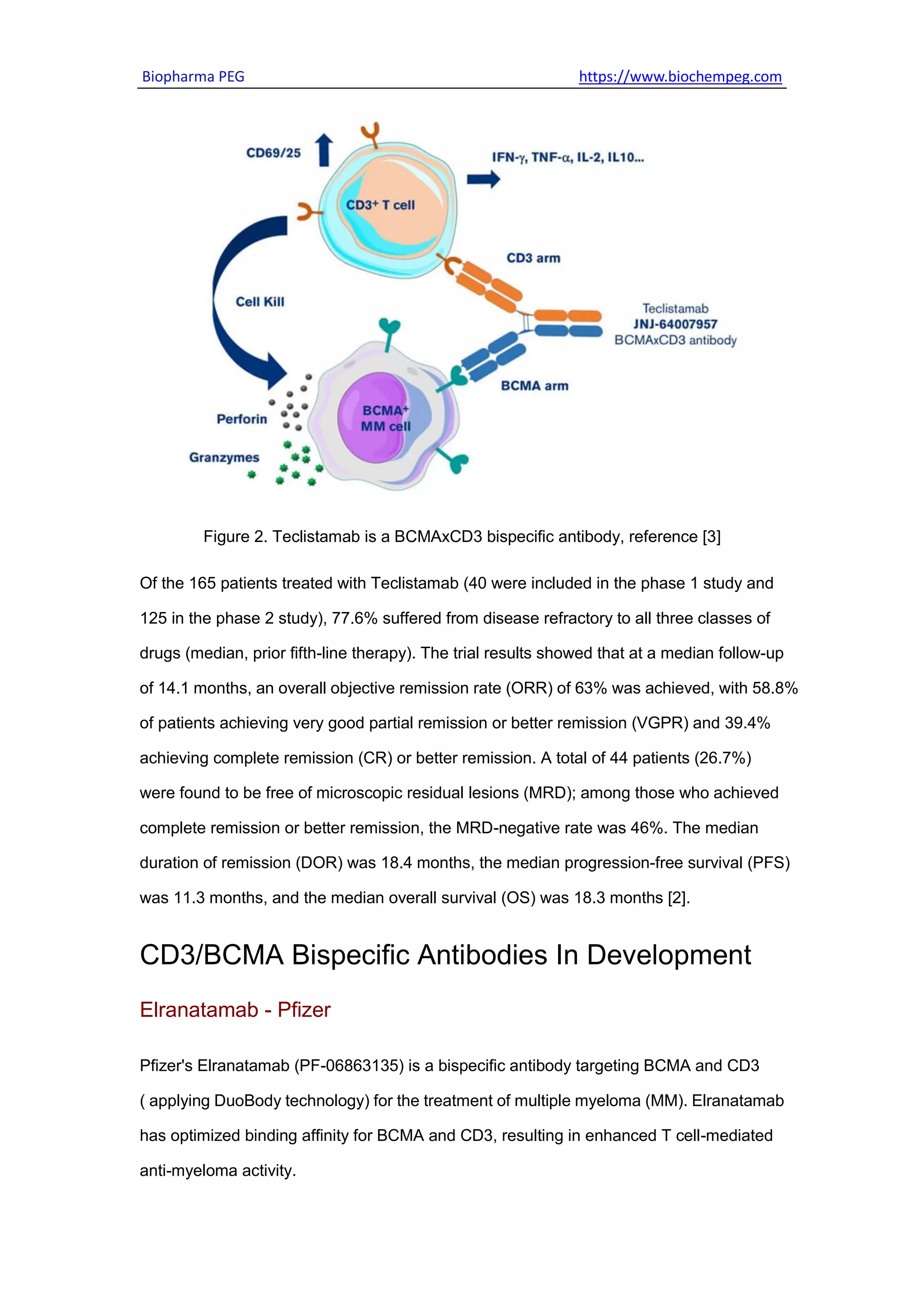 BCMACD3 Bispecific Antibodies for Multiple Myeloma (MM).pdf