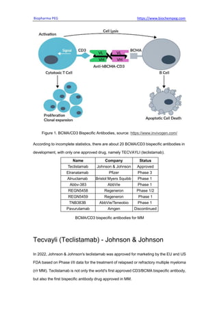 BCMACD3 Bispecific Antibodies for Multiple Myeloma (MM).pdf