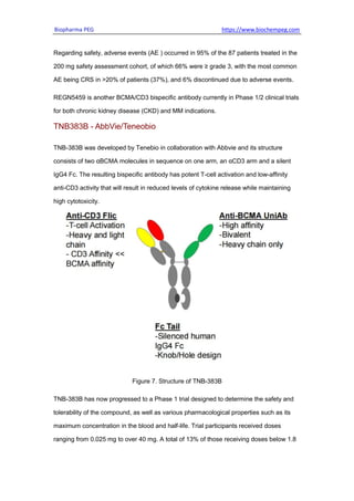 BCMACD3 Bispecific Antibodies for Multiple Myeloma (MM).pdf